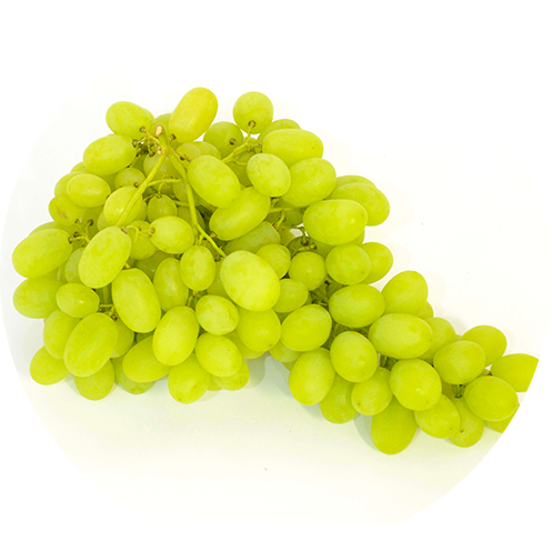 Uva Cotton Candy – Agricoper