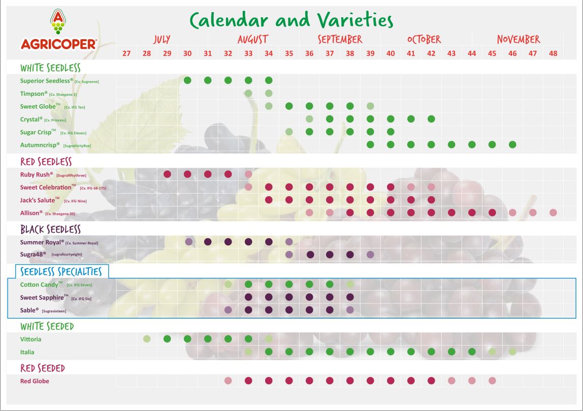 Agricoper » Harvest Calendar